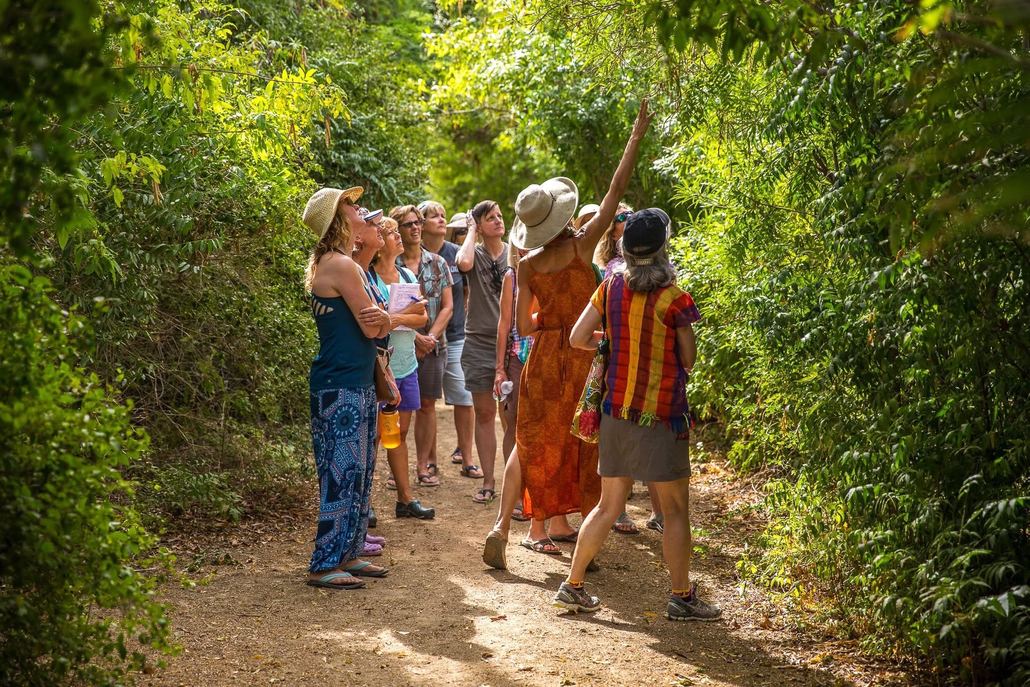 Buena Fortuna Gardens, a Living Genealogy Seed Bank and Wildlife Refuge in Baja California Sur ...