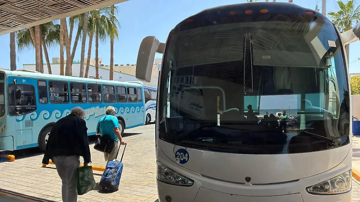 Public Transportation Schedule for the Holidays - Gringo Gazette