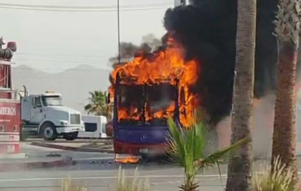 VIDEO: Bus Fire in Cabo Sends Smoke Signals - Gringo Gazette