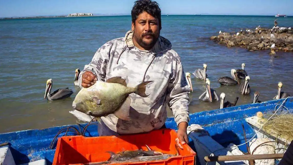 BCS will Become a National Leader in Sport Fishing Permits This Year ...