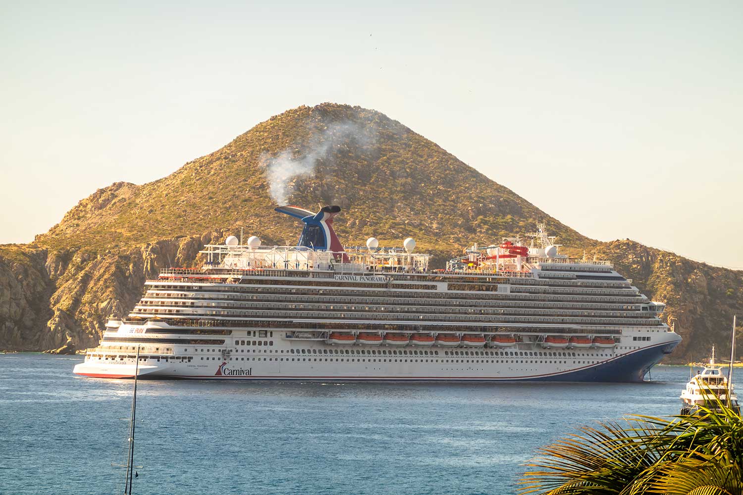 Homepage - Gringo Gazette