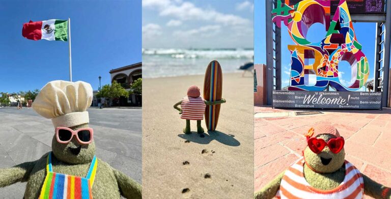 Tiny Chef Takes Cabo by Storm - Gringo Gazette