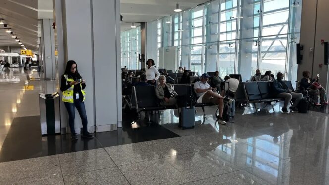 Los Cabos International Airport Sees Decline in Passenger Traffic in ...